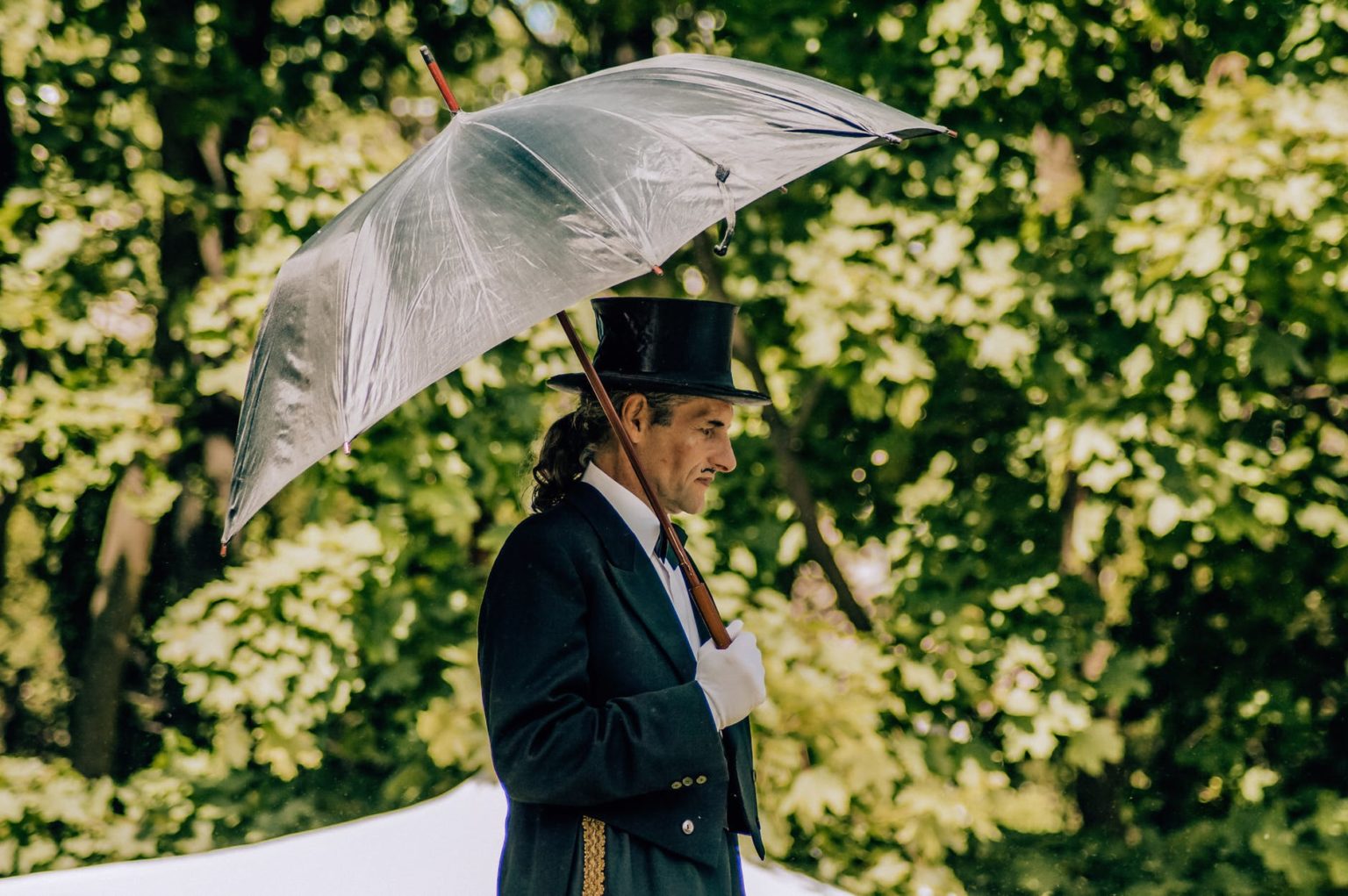 A Peek into the World of PBNs and Grey Hat SEO with Matt Diggity ...